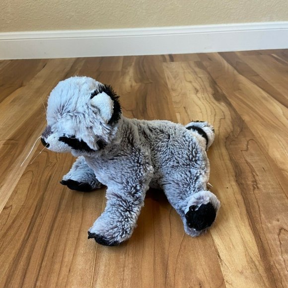GANZ | Toys | Retired Webkinz Raccoon Hm43 Plush Stuffed Animal Soft ...